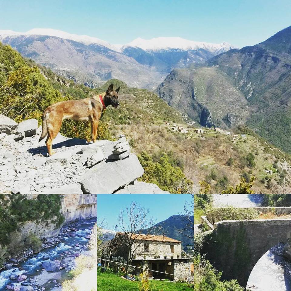 Visite des Alpes Maritimes, la Tinée | Villa du Roc Fleuri